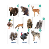 Farm & Forest Animals Learning Set for the Storypod Audio System - Set 6