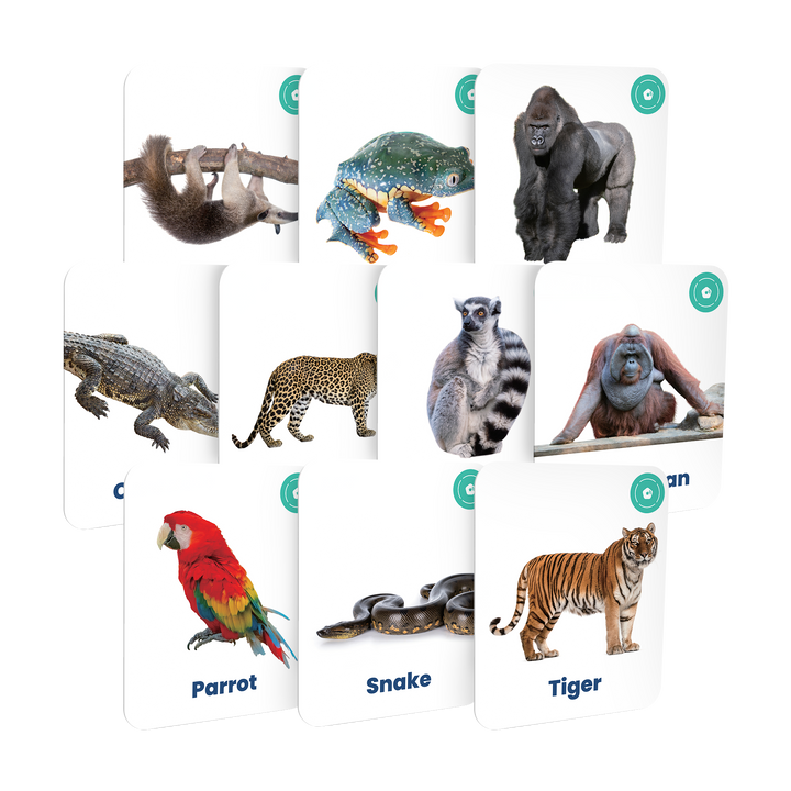Colors & Jungle Animals Learning Set for the Storypod Audio System - Set 2
